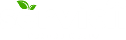 Declaratii AFM Online Intocmire si Depunere | ServiciiPentruMediu.ro